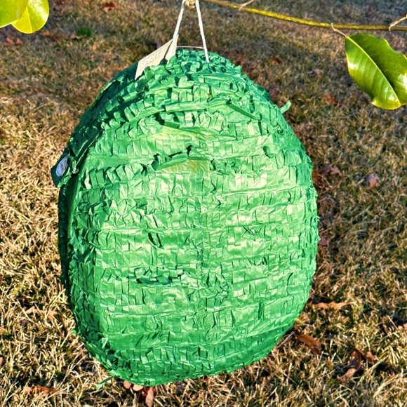 Spritz | Party Supplies | New Spritz Party Supplies Target Avocado ...